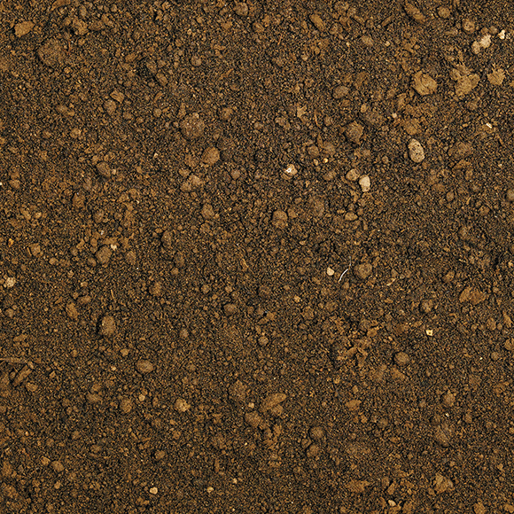 Bulk Bag Topsoil Blended Loam (0.6m3) | Pattrick & Thompsons